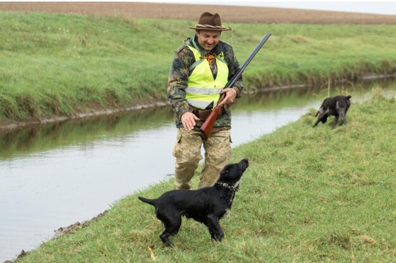 Duck Calls Decoded: Finding the Best Options for Successful Hunting in ...